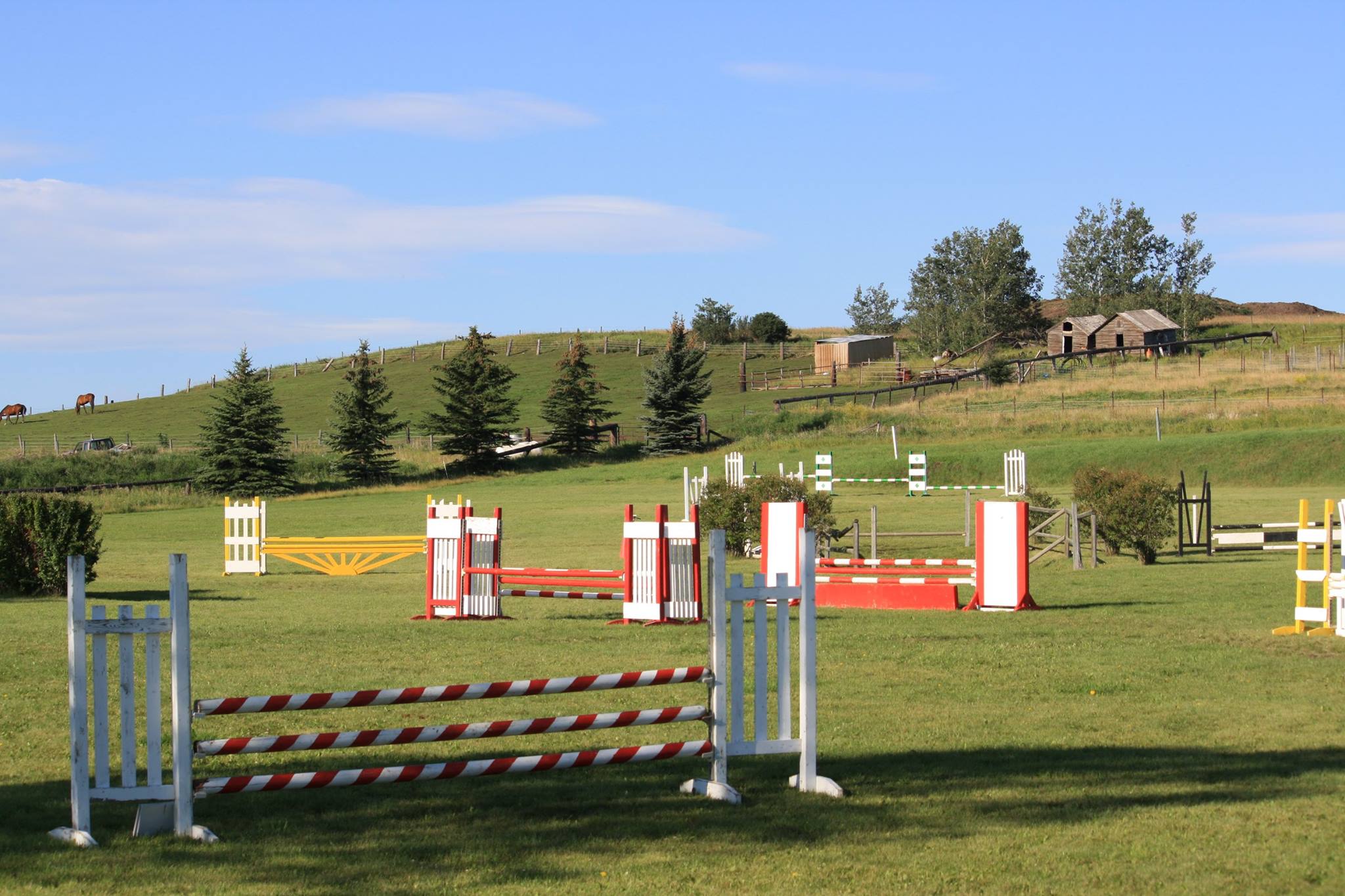 Home - Paramount Equestrian Centre